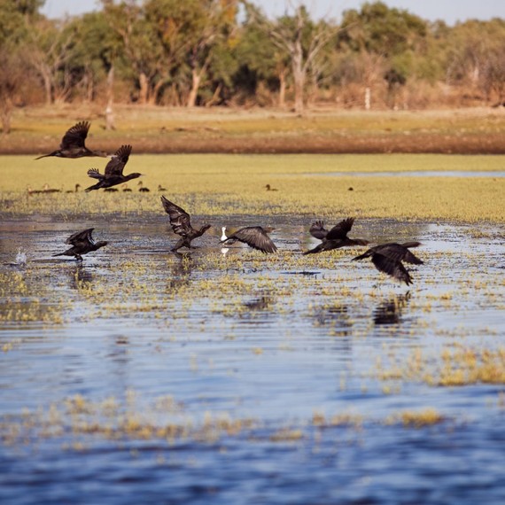 Gallery - Mount Isa Water Board